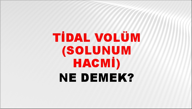 Tidal Volüm (Solunum Hacmi) Ne Demek? Tidal Volüm (Solunum Hacmi) Nedir? | NTVSpor